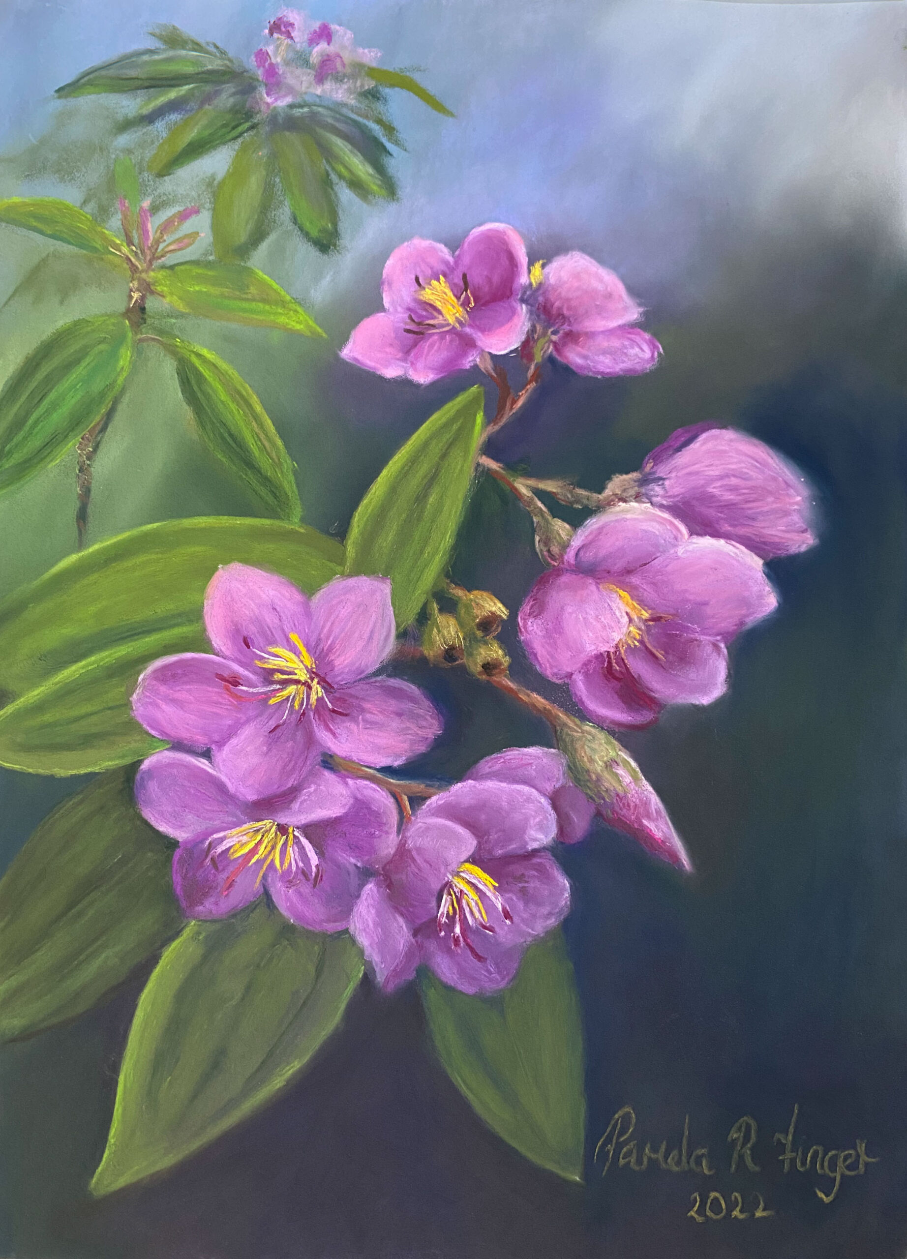 Pamela Finger – Pamela Finger Artist and Photographer